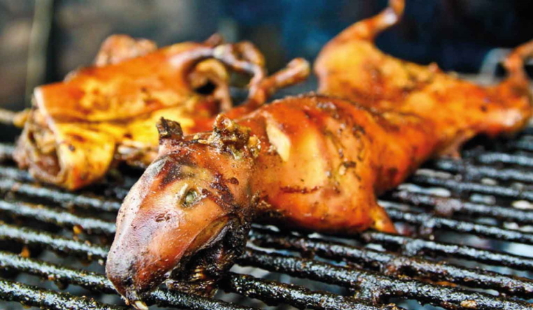 Guinea Pig on a Stick | Peruvian Guinea Pig | Peru Tours and Travel